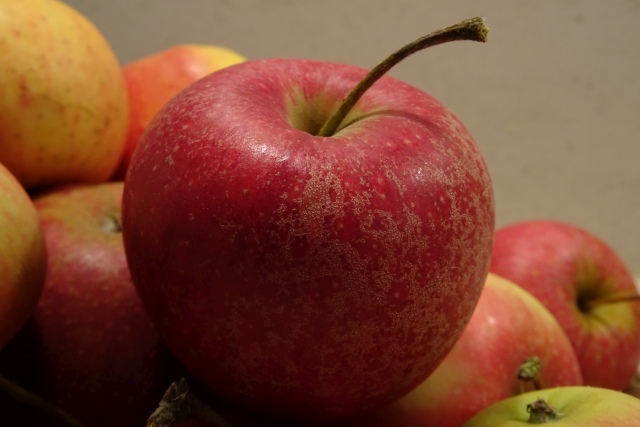Apfel lagern, der Apfel ist gesund, vielseitig, eine Powerfrucht